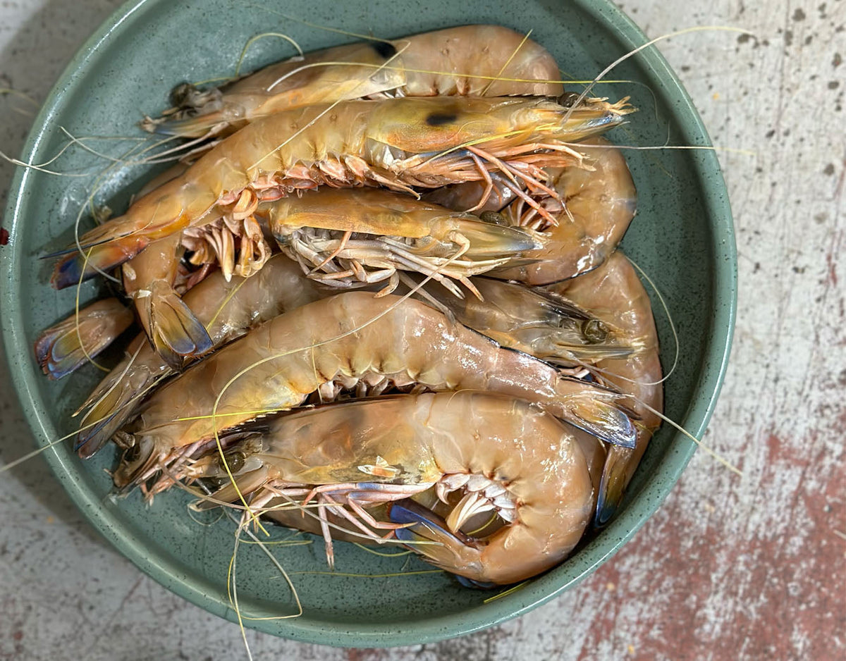 Raw King Prawns, Whole – The Fishmonger's Son