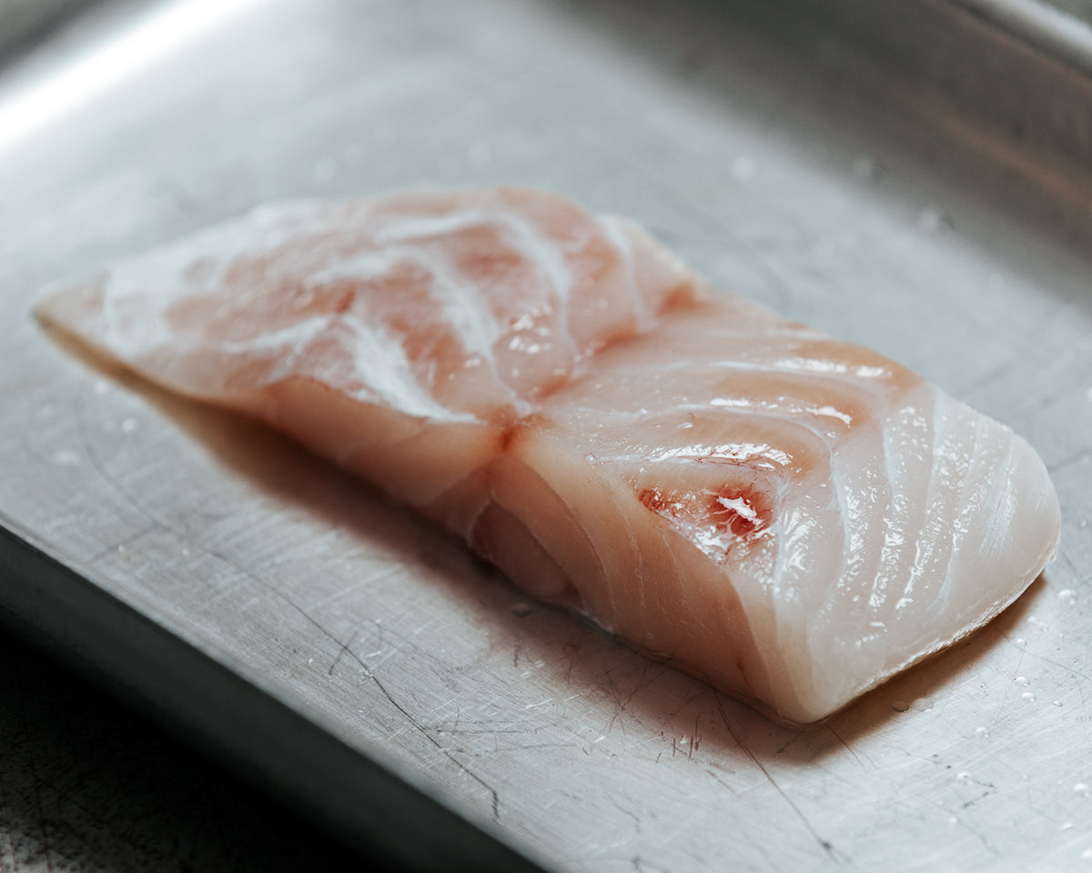 Pink Ling (Rock Ling) Fillet – The Fishmonger's Son