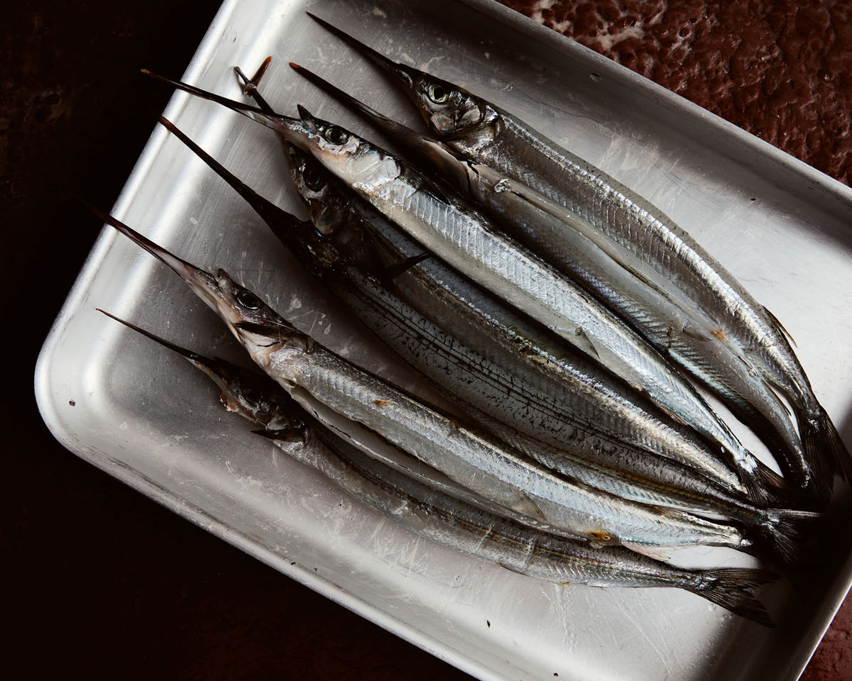 Garfish (Butterflied) – The Fishmonger's Son