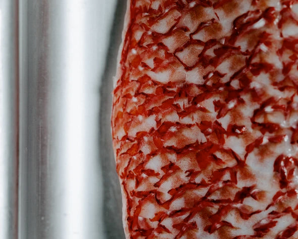 Red Emperor Fillet – The Fishmonger's Son